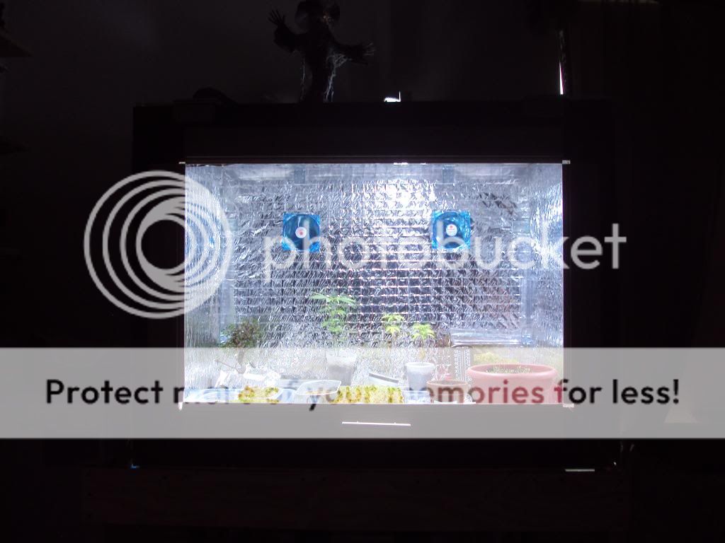 New Terrarium (Grow Box) - FlyTrapCare Forums